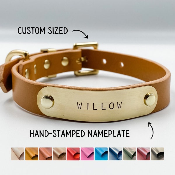 Brass Dog Collar - Etsy