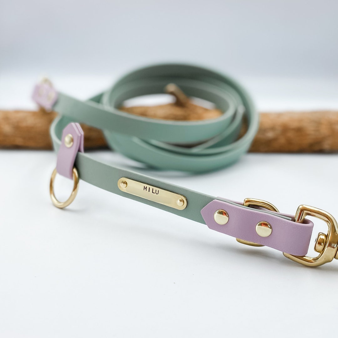 Custom Handsfree Dog Lead | Waterproof Biothane® Training Leash With ...