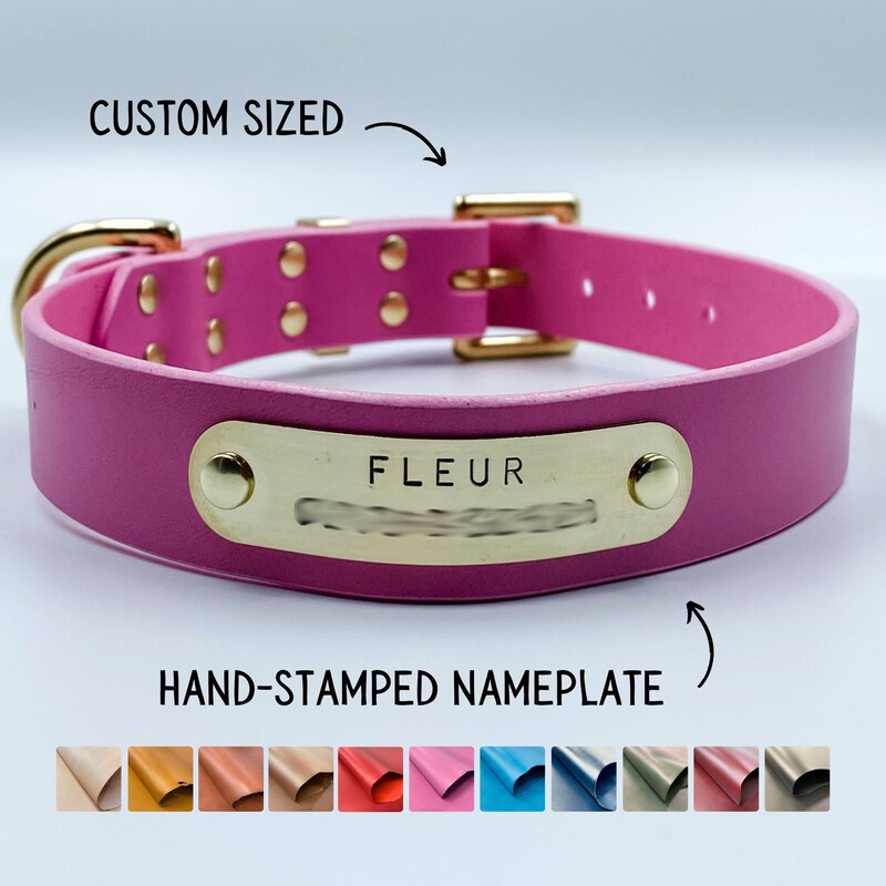 Female Dog Collar - Etsy