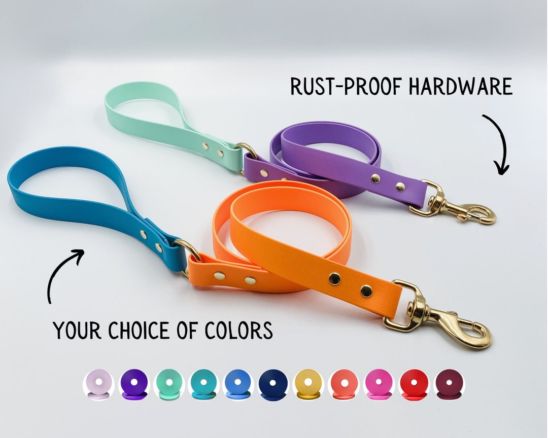 Custom Dog Lead Leash With Brass Hardware | Waterproof Biothane Dog ...
