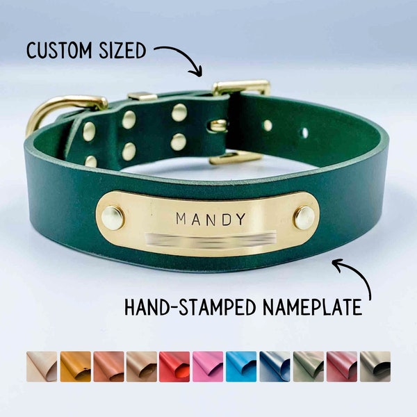 Brass Dog Collar - Etsy