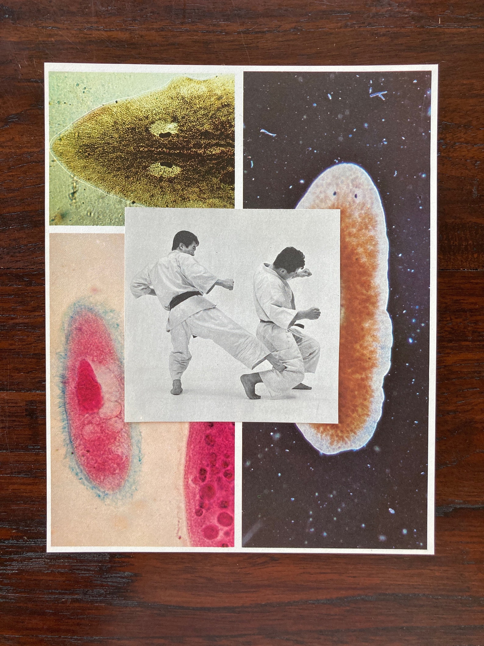 Original Collage Art(*two-sided): "double Trouble" - Etsy