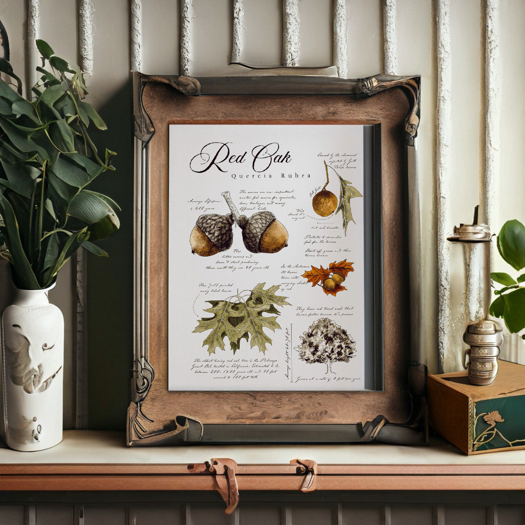 Red Oak Nature Journal Page | Nature Art | Rustic Nature Journal - Etsy
