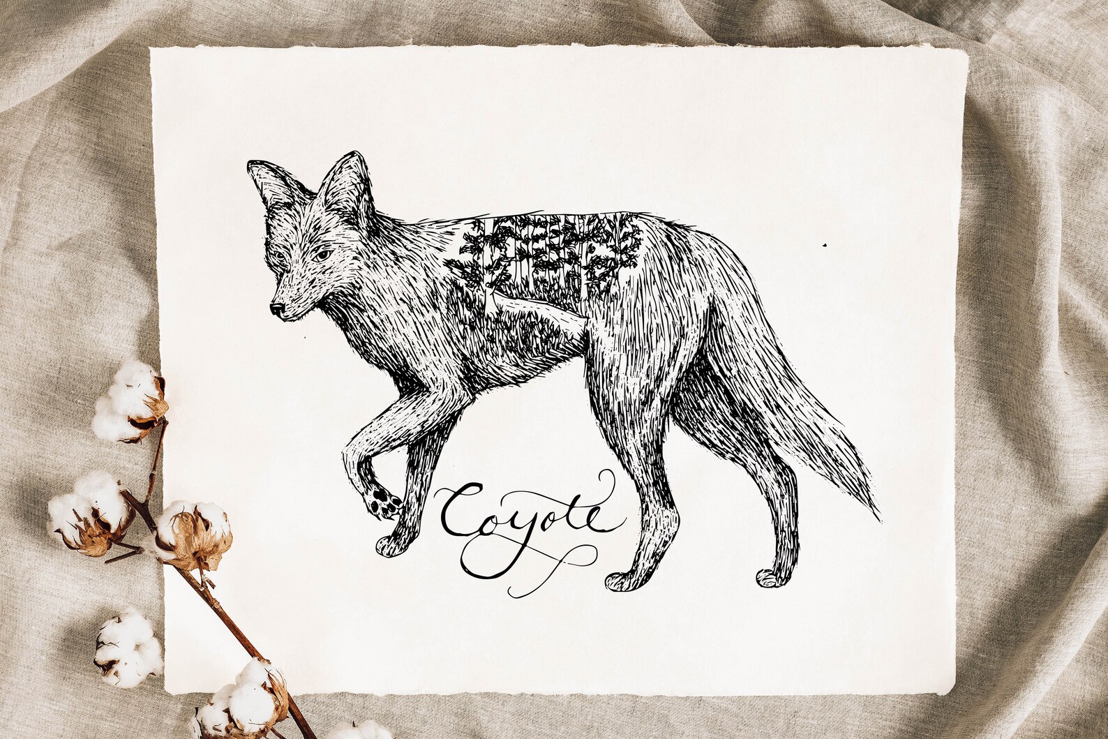 Double Exposure Coyote Sketch Illustration Coyote - Etsy