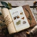 Red Oak Nature Journal Page | Nature Art | Rustic Nature Journal - Etsy