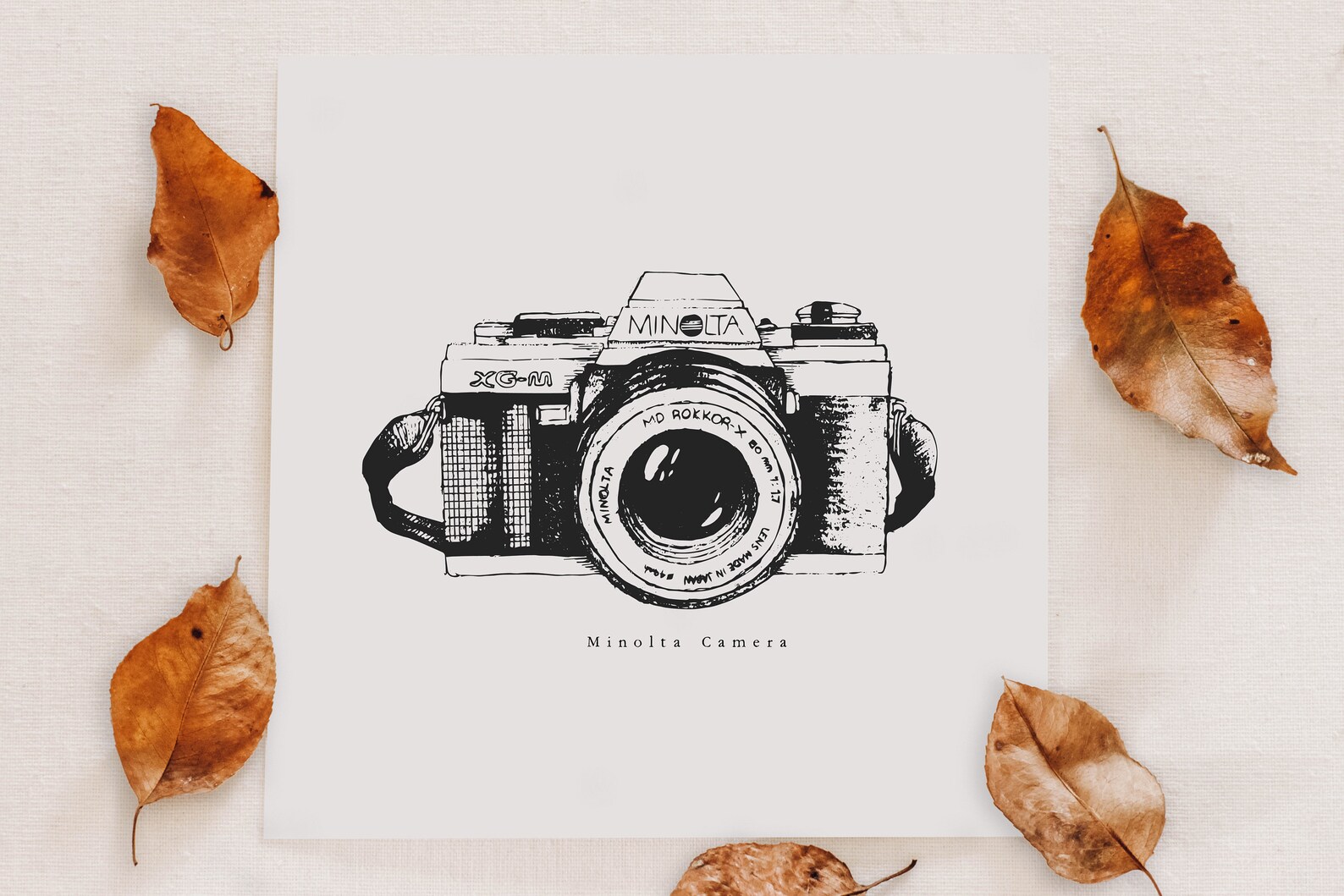 Minolta Camera Illustration | Camera Art | Fine Art | Digital Download ...