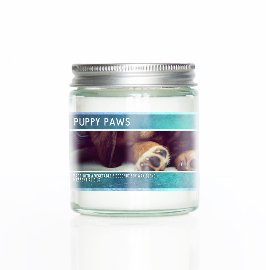 Puppy Paws Scented Candle | Corn Chip Scent Candle | Stinky Paws Smell ...