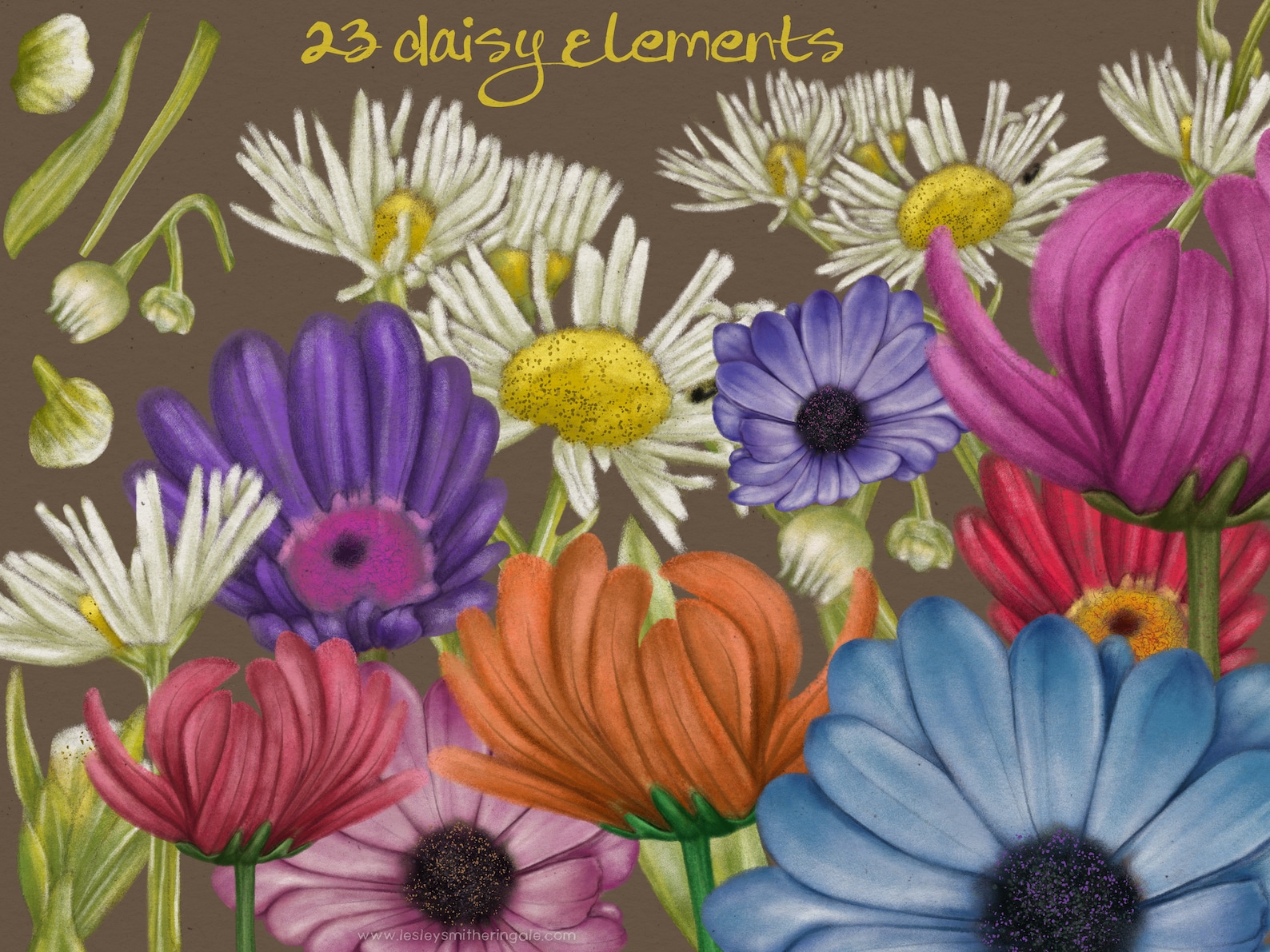 Daisies Clip Art Spring Flowers Clipart Floral Clipart - Etsy UK