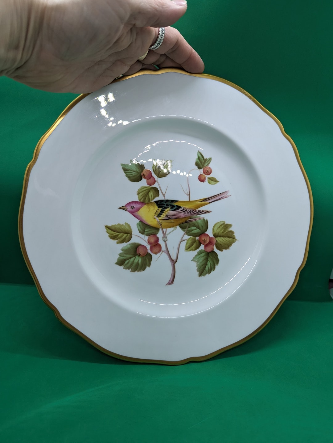 Spode. Audubon Birds by Copeland. Plates of Pictures From the Autobahn ...