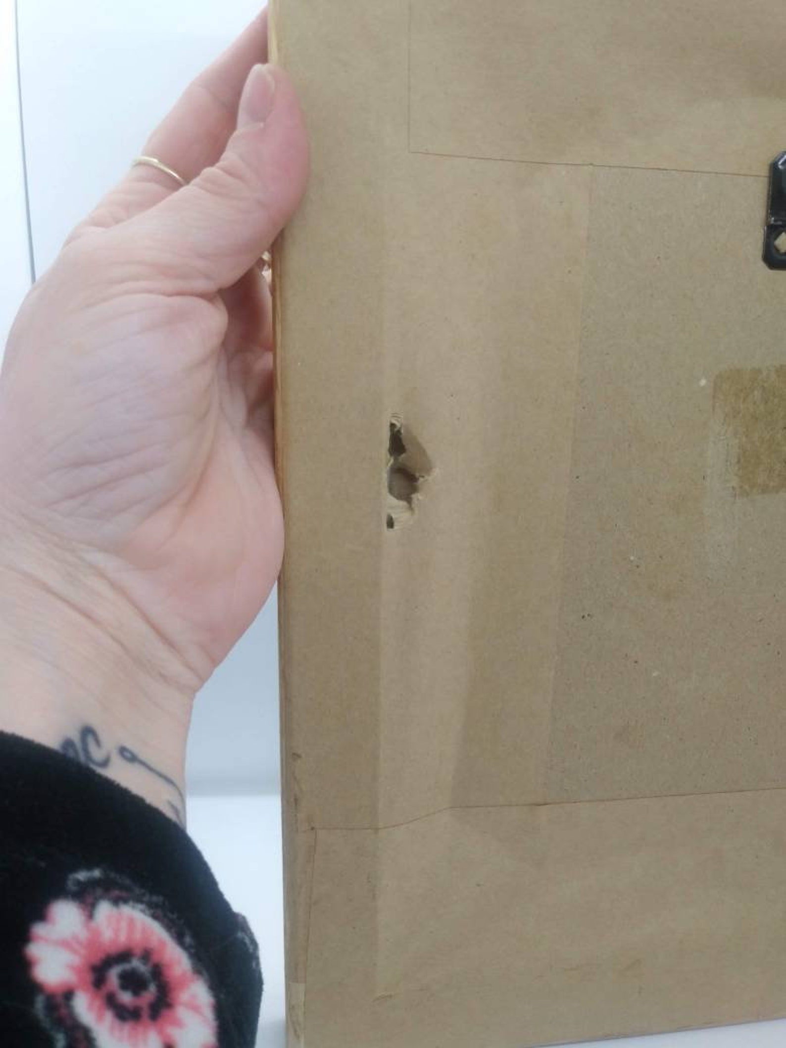 Vintage Beatrix Potter Pic From the Tale of Timmy Two Toes. | Etsy