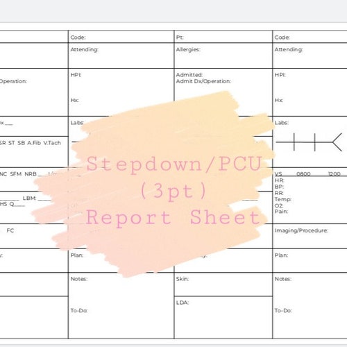 Printable Stepdown/pcu 3 Patients Report Brainsheet Night - Etsy