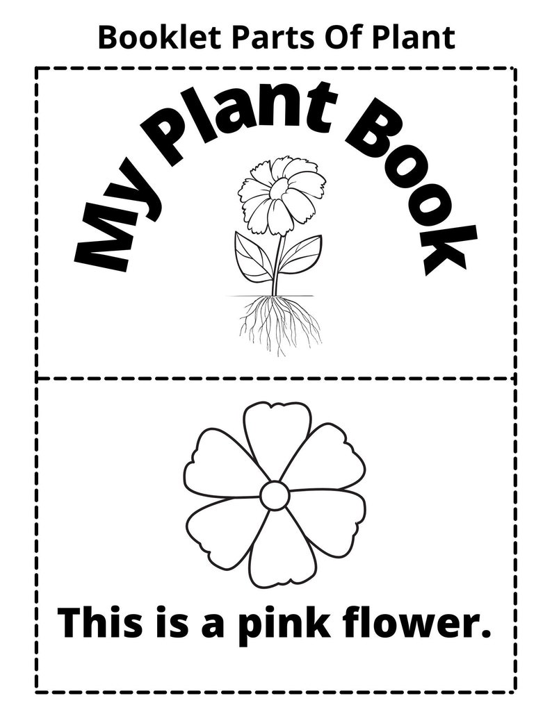 Parts of a Plant Plant Life Cycle Plant Flip Book Plants | Etsy