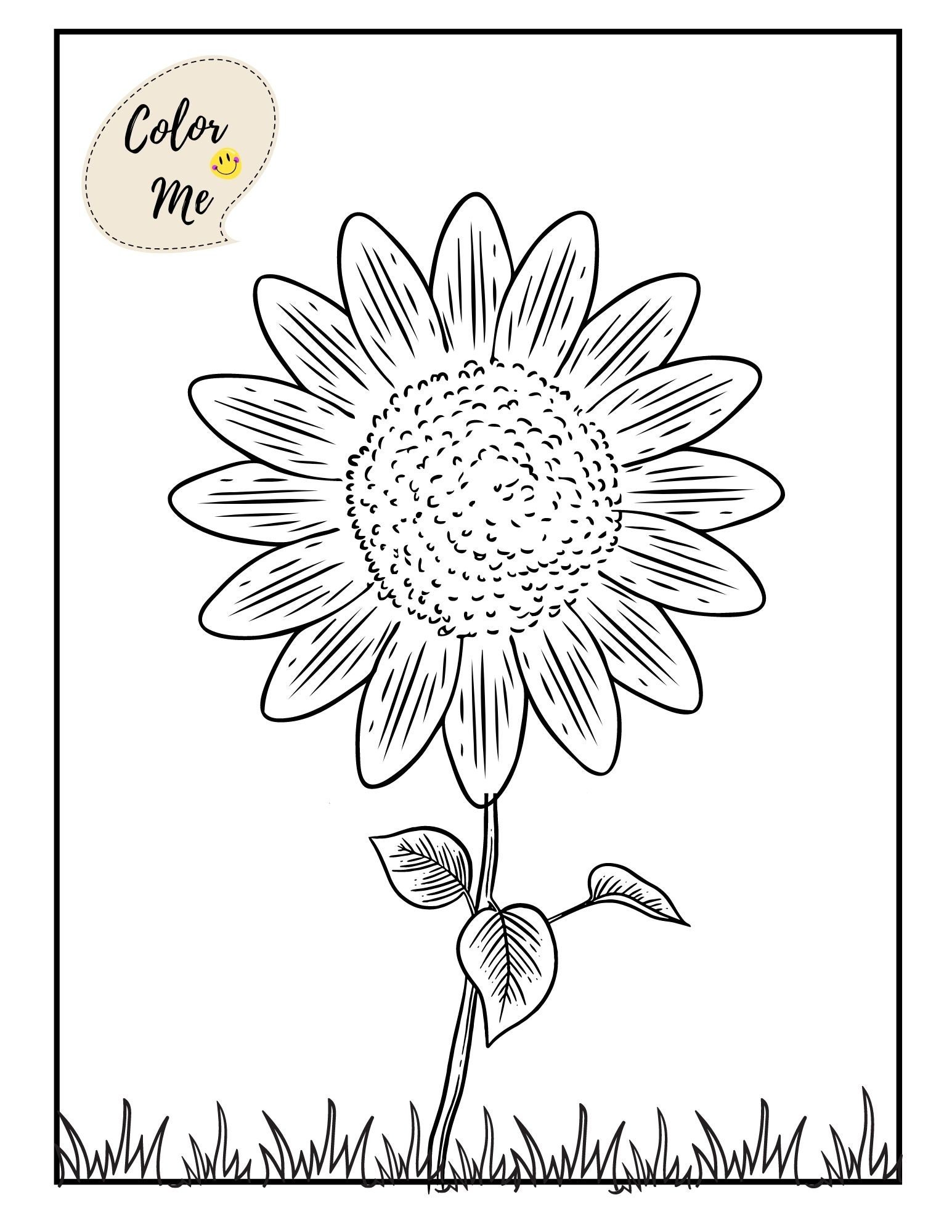 Sunflower Unit Study, Anatomy, Life Cycle 3 Part-cards, Charts ...