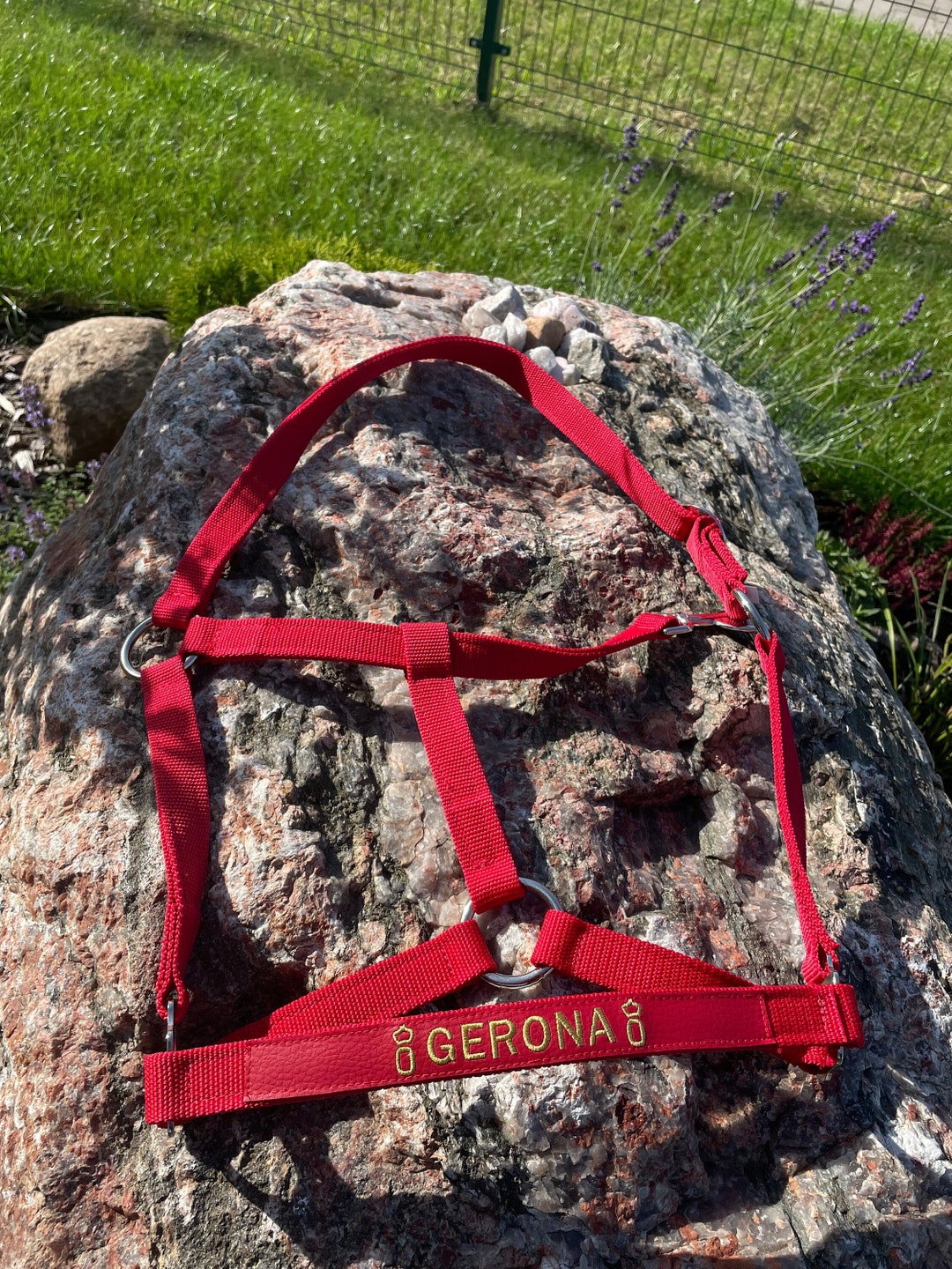 Choose Your Color Basic Embroidered Horse Halter / Equestrian Tack ...