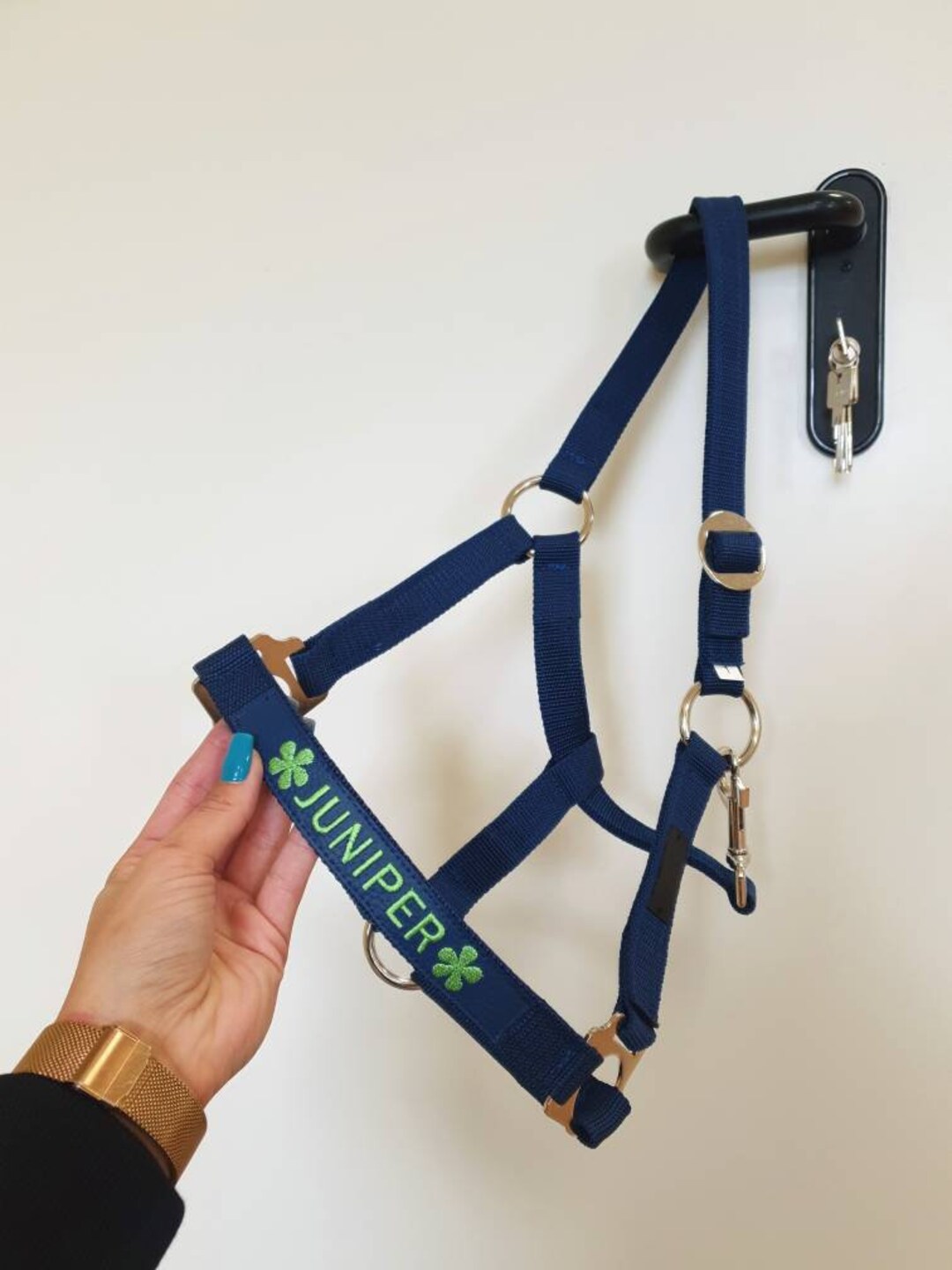 Blue Basic Embroidered Horse Halter / Equestrian Tack Name / Halter ...