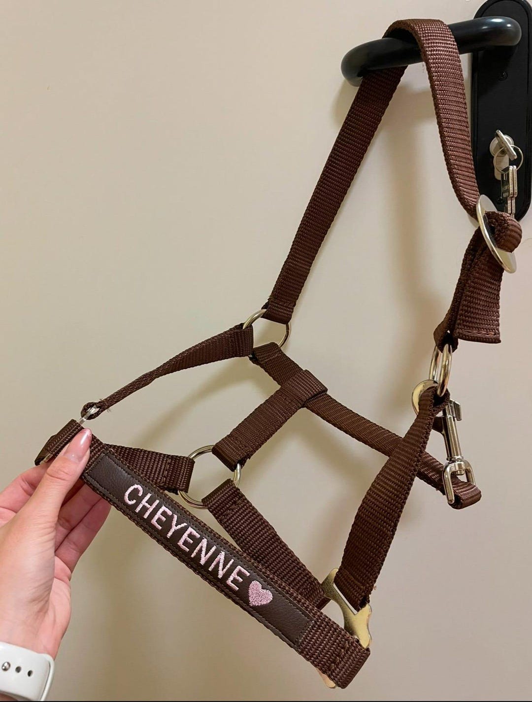 Brown Basic Embroidered Horse Halter / Equestrian Tack Name / Halter ...