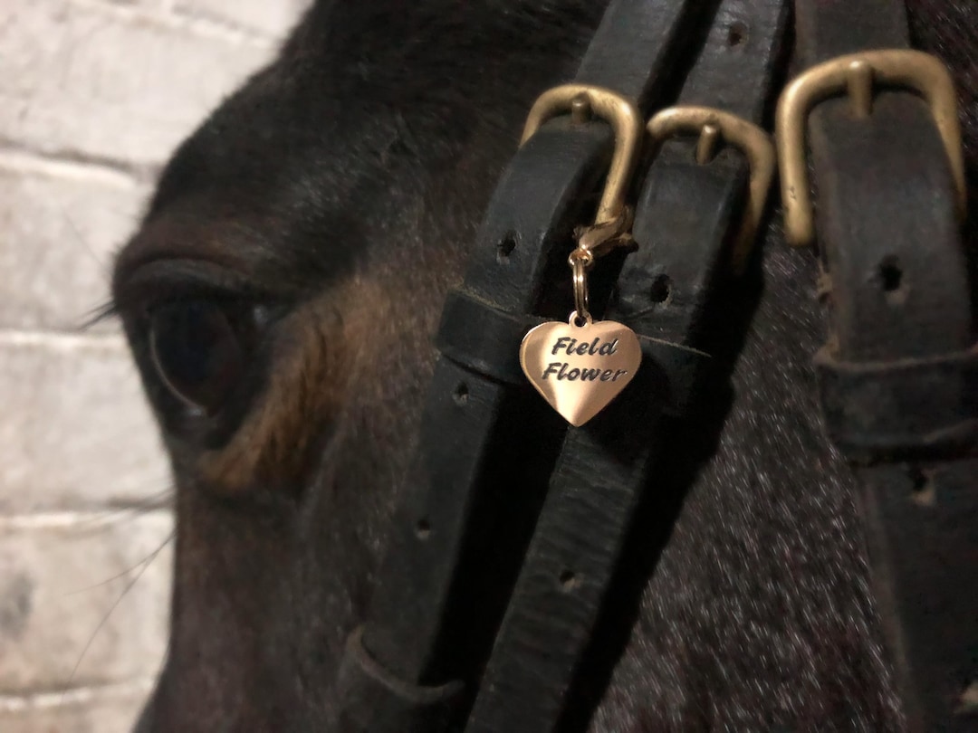 Personalized Horse Bridle Engraved Charm / Heart Shape Custom Tag ...