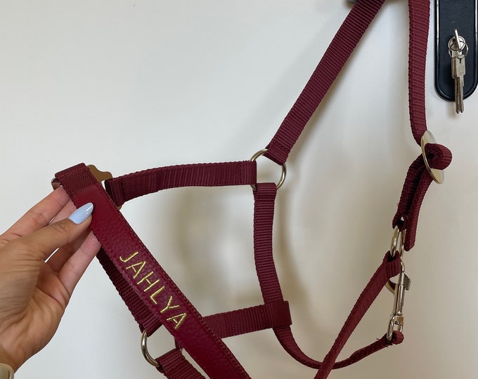 Choose Your Color Basic Embroidered Horse Halter / Equestrian Tack ...