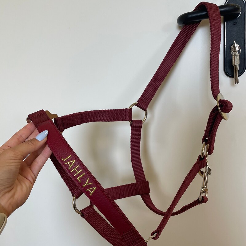 Custom Horse Halters With Name - Etsy