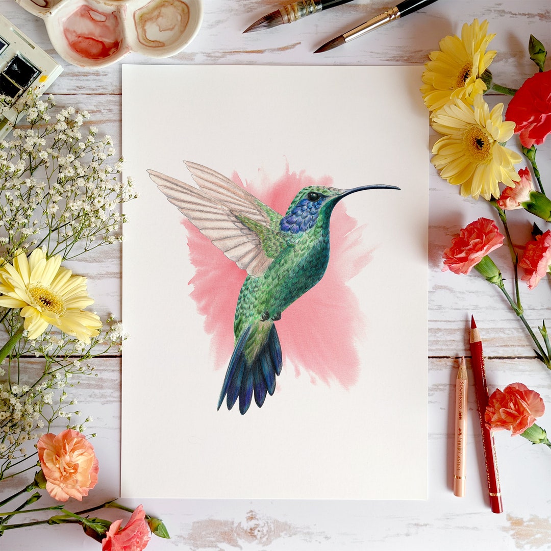 Le Colibri Poster A4 limited Edition Art Print - Etsy