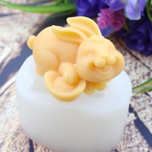 3D Rabbit Mold Silicone Cake Pudding Jelly Mold Bunny Food - Etsy