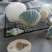 Silicone Conch Shell Mold for Handmade Chocolate Soy Wax Beewax Candle ...
