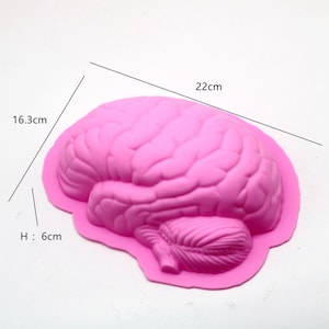 3D Human Brain Silicone Mold / Mould for Mousse Cake Chocolate ...