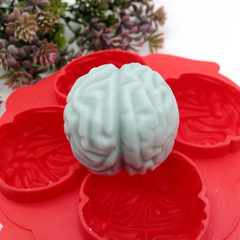 Chocolate Brain - Etsy