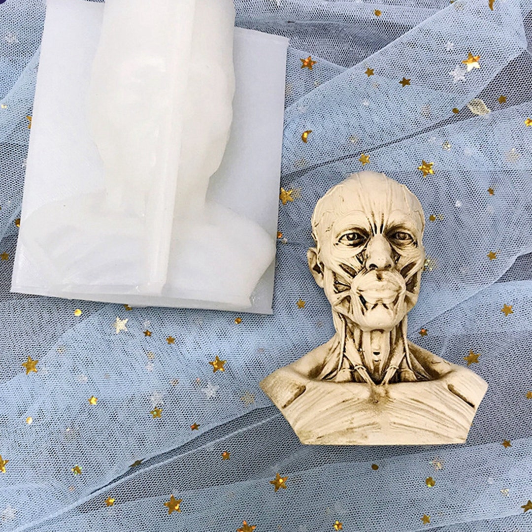 Muscle Anatomy Skull Mold Silicone Candle Mold Epoxy Resin - Etsy