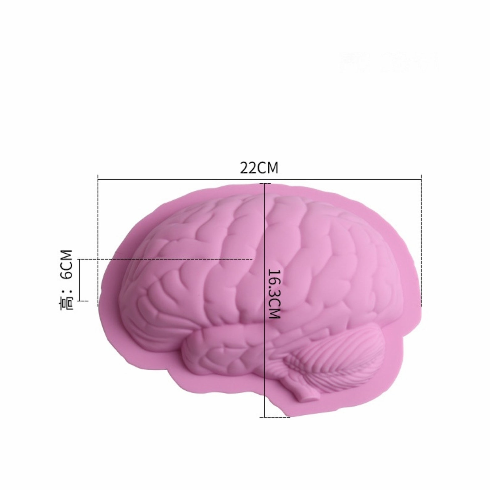 3D Human Brain Silicone Mold / Mould for Mousse Cake Chocolate | Etsy