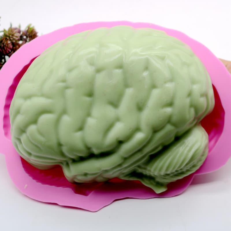 Brain Candy Mold - Etsy