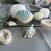 Silicone Conch Shell Mold for Handmade Chocolate Soy Wax Beewax Candle ...
