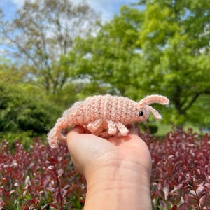 PATTERN: Crochet Shrimp Plushie Pattern (TWO Versions Included) - Etsy