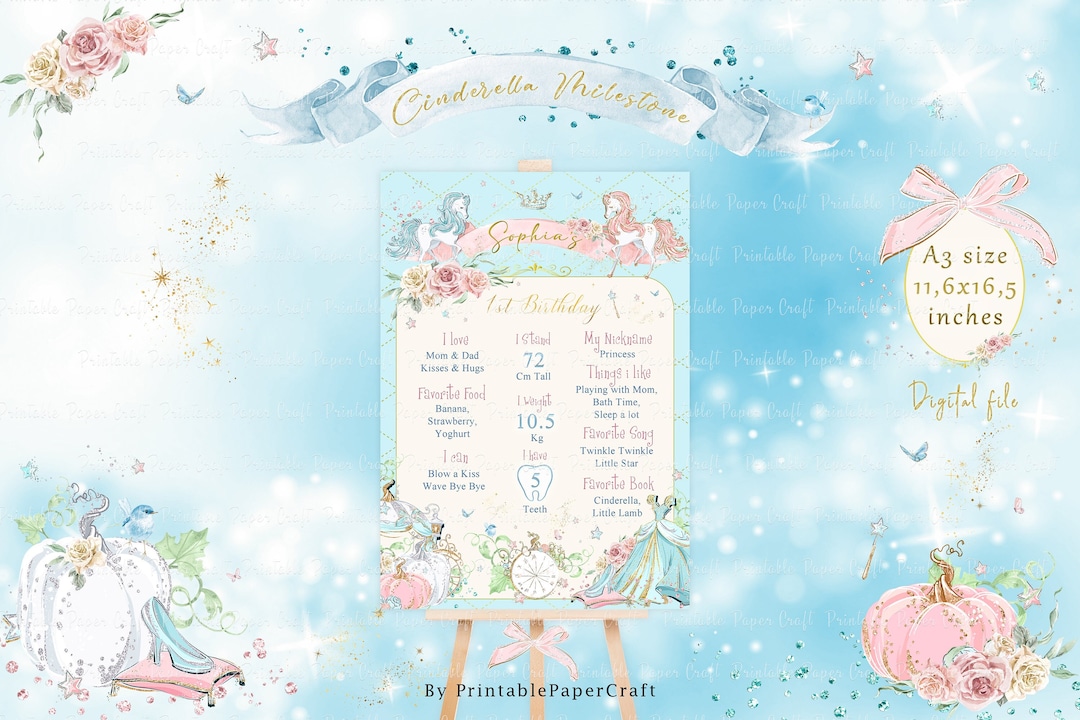 Cinderella Birthday Party Supplies, 1st Birthday Milestone Sign ...