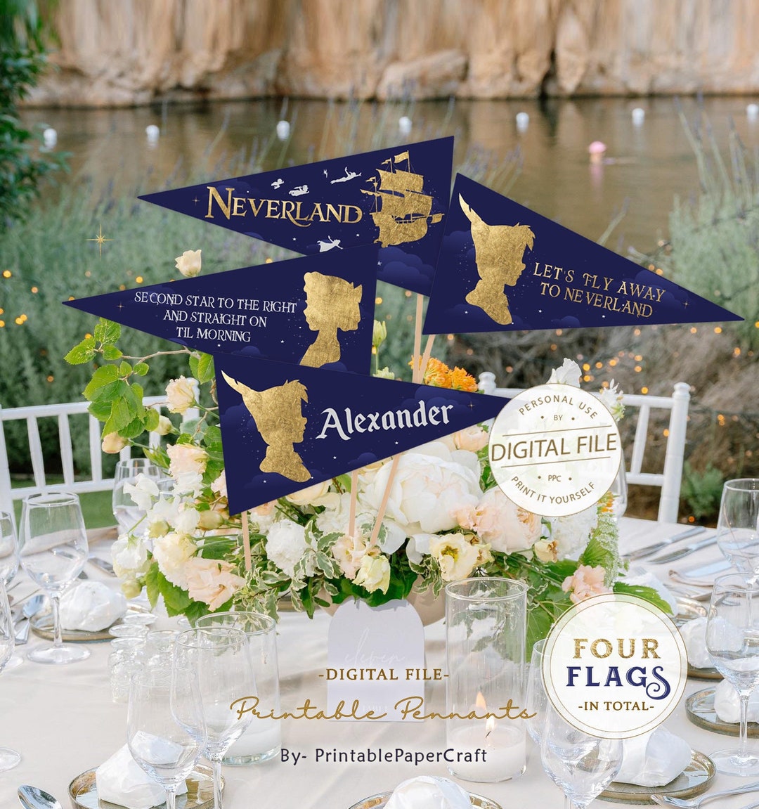 Peter Pan Party Supplies, Birthday Party Pennants, 1st Birthday ...