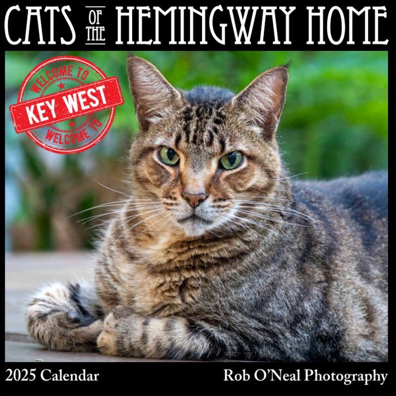 Hemingway Cat - Etsy