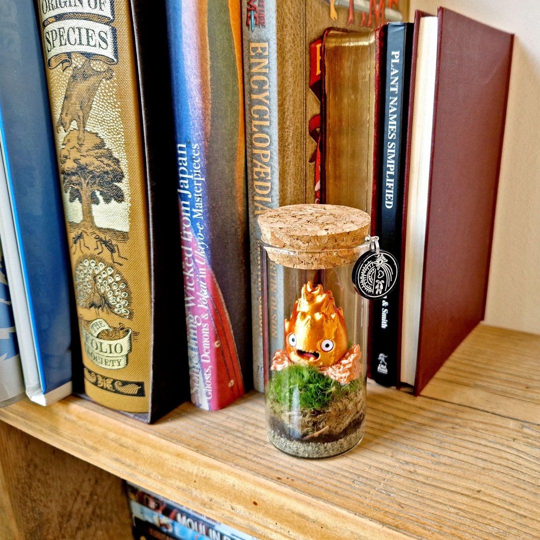 Calcifer Terrarium Bottle, Fire Demon Indoor Plant Gift Ideas - Etsy