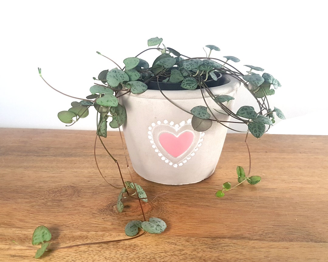 Mini Love Heart Indoor Plant Pot, House Plant Concrete Planter, Sweet ...