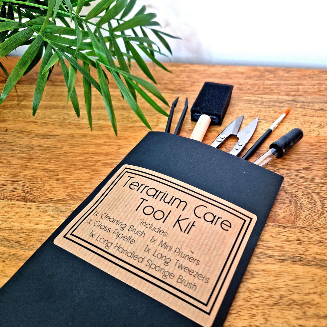 Terrarium Care Tool Kit, Indoor Plant Maintenance Tweezers Pipette ...