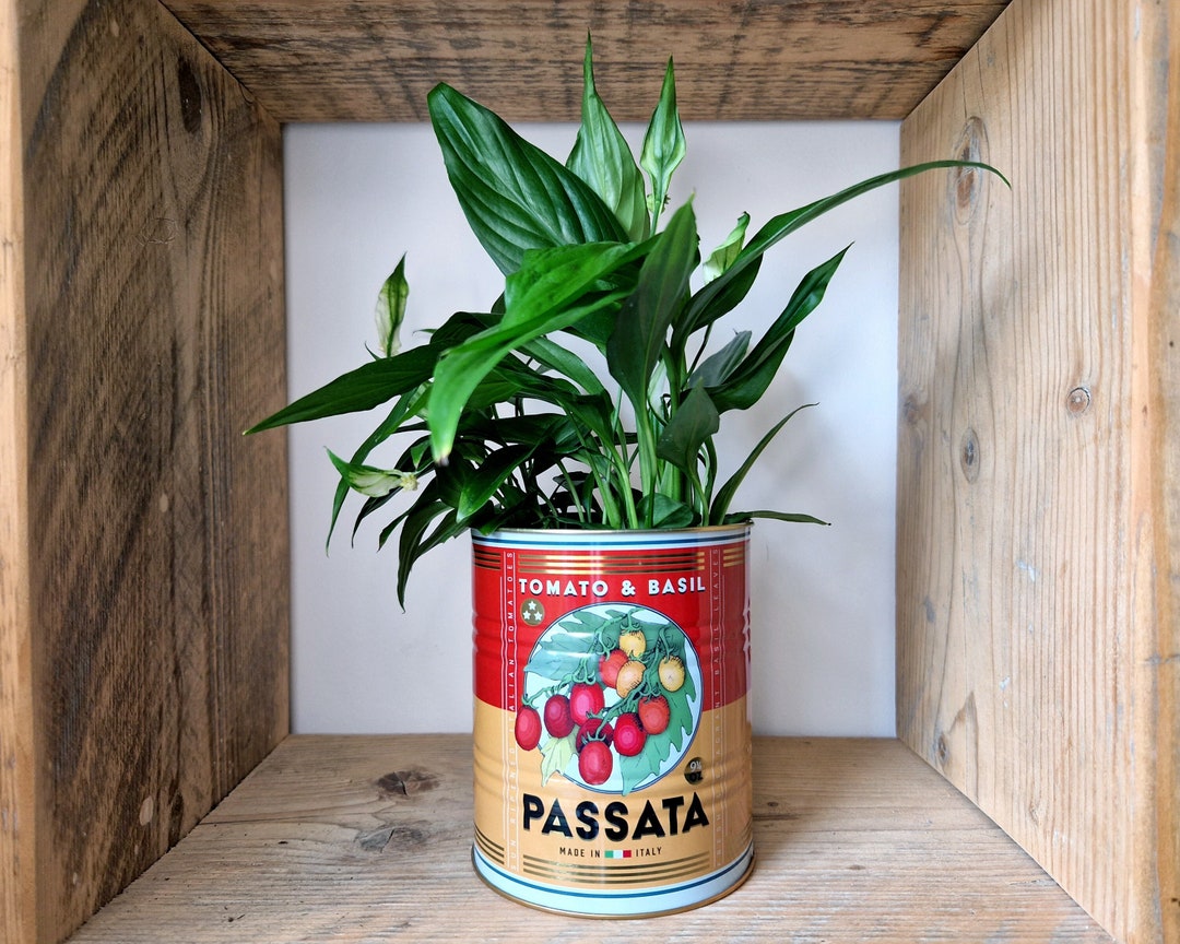 Retro Tomato Passata Tin Vintage Style Kitchen Storage, Small Basil ...