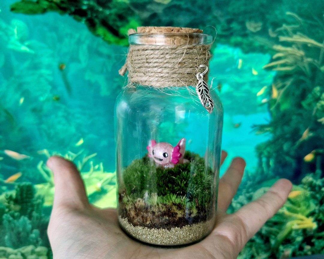 Moss Terrarium Axolotl Bottle, Indoor Plant Gift Ideas - Etsy