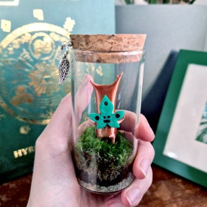 Korok Terrarium Moss Bottle, Legend of Zelda Indoor Plant Gift Ideas ...