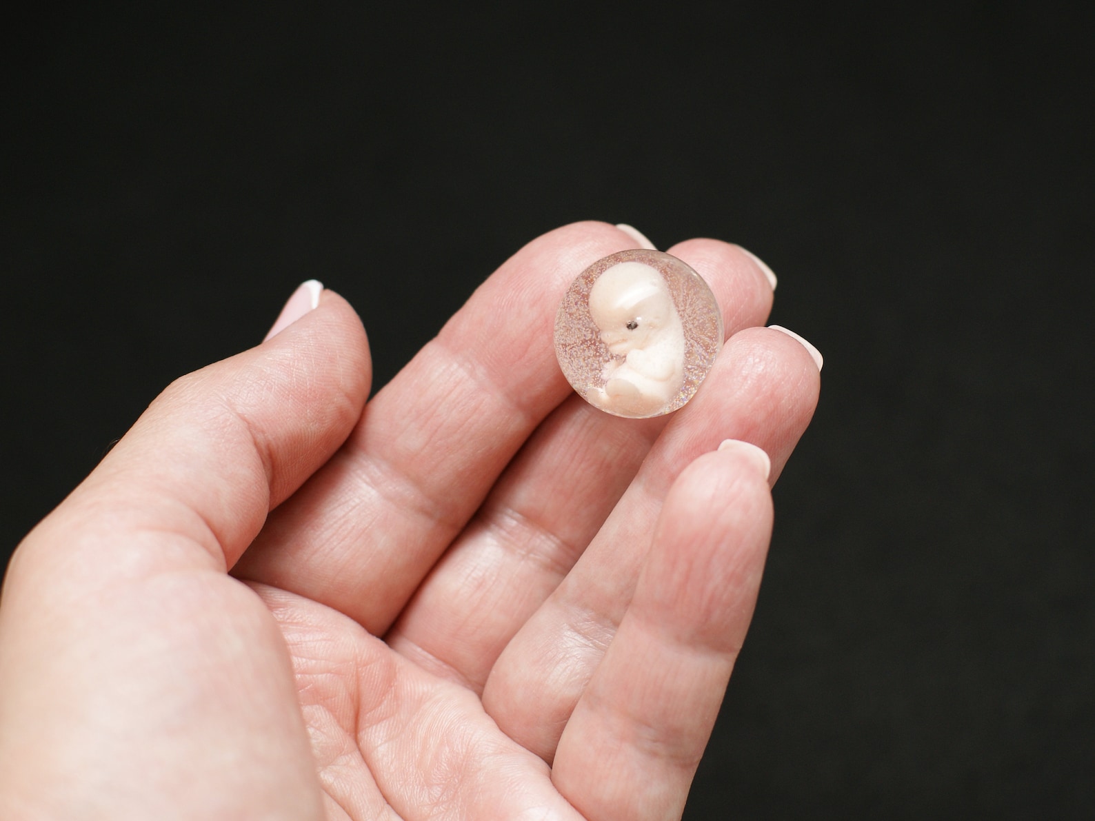 Embryon 9 semaines dans la sphère 9 semaines enceinte foetus | Etsy