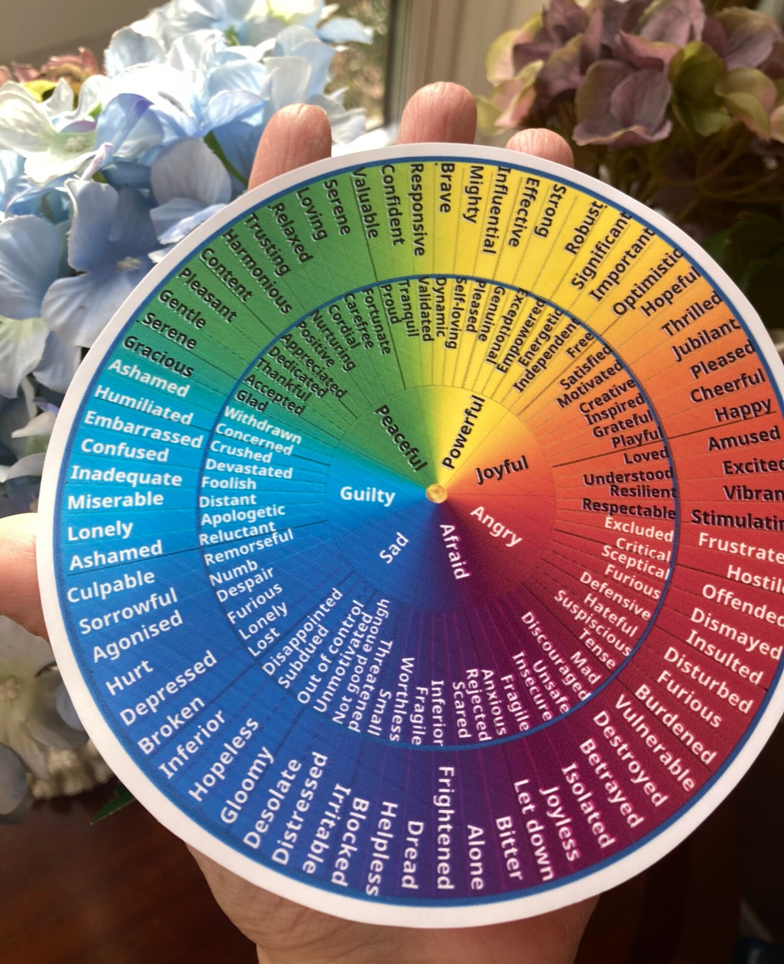 Emotions Wheel Sticker for Children Feelings Wheel Sticker - Etsy UK