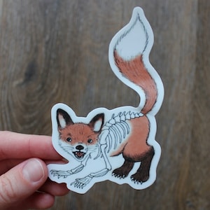 Spooky Skeleton Fox Sticker! Printed on Vinyl With a Matte Finish! - Etsy