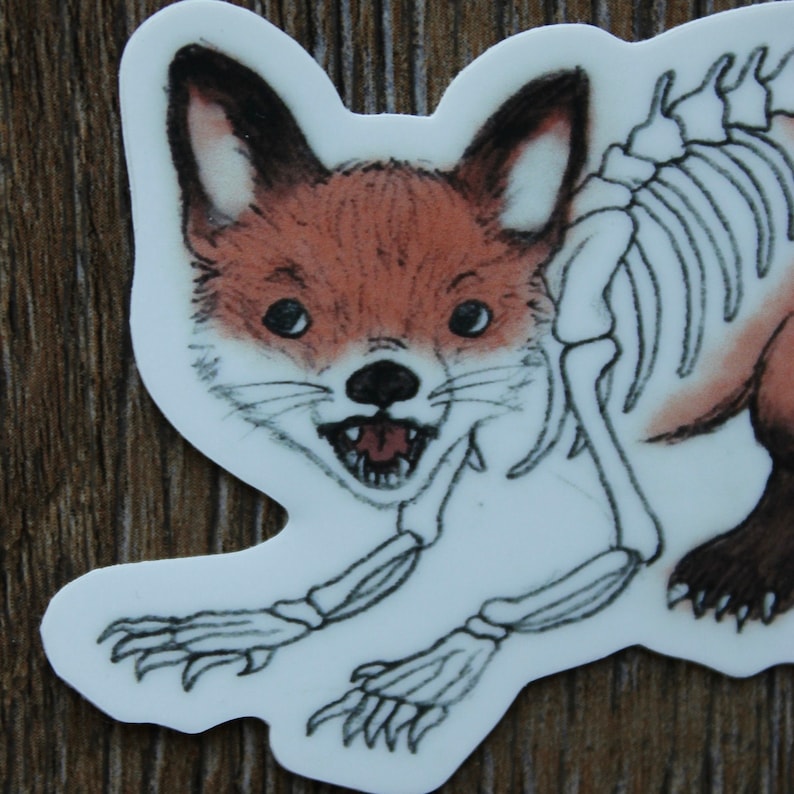 Spooky Skeleton Fox Sticker! Printed on Vinyl With a Matte Finish! - Etsy