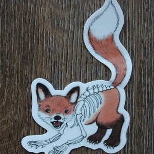 Spooky Skeleton Fox Sticker! Printed on Vinyl With a Matte Finish! - Etsy