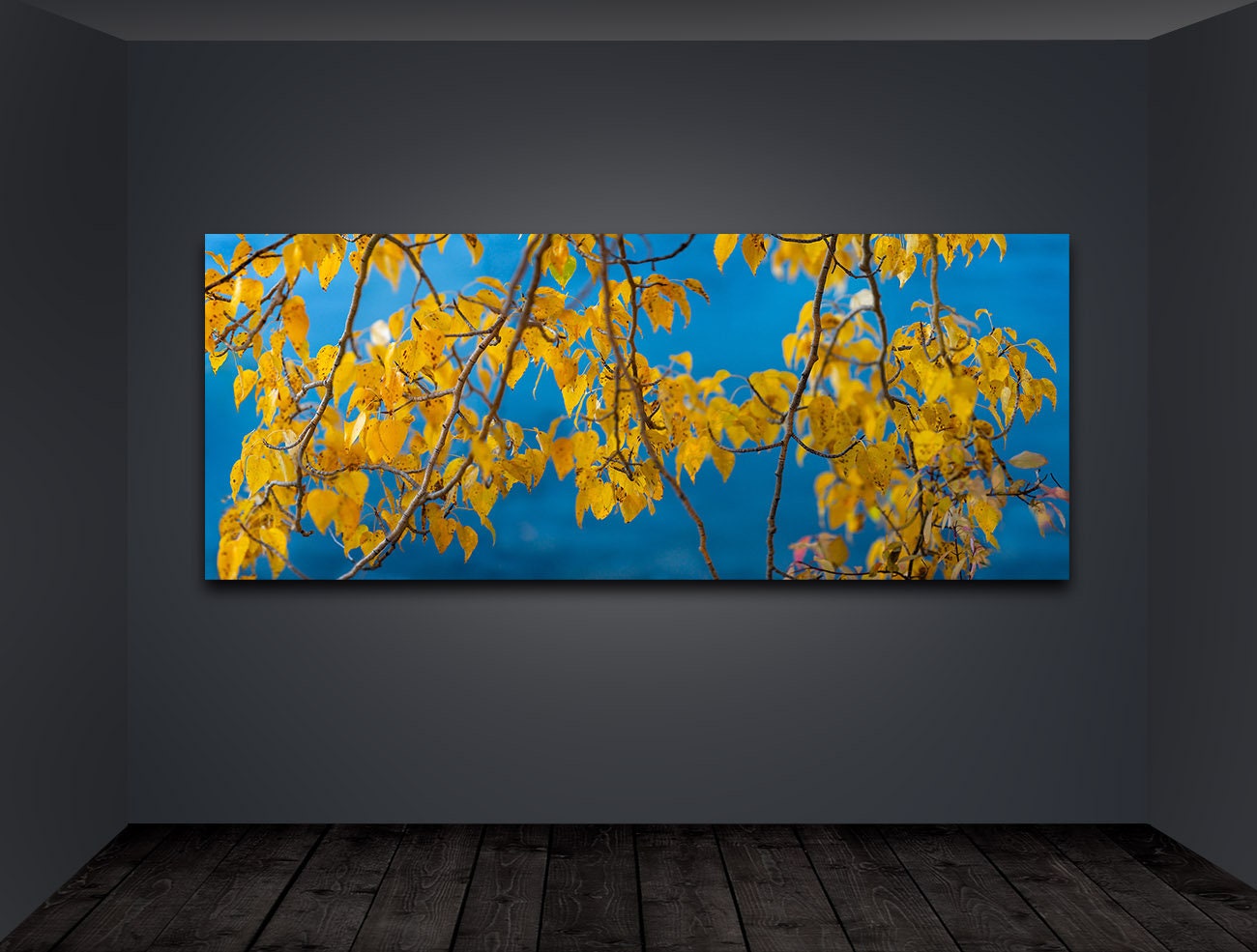 Original Limited Edition Fine Art Photography Print | Harmony of Color ...