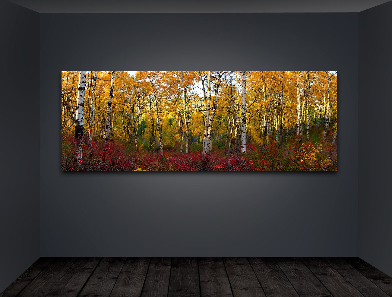 Original Limited Edition Fine Art Photography Print | Autumn Glory by ...