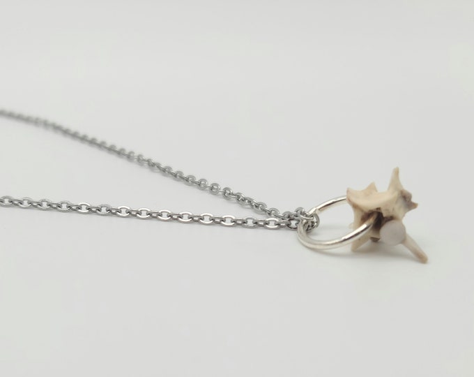 Silver Single Snake Vertebrae Bone Necklace, Real Bone Necklace ...